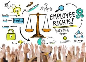 Edmonton - Taylor Janis Workplace Law